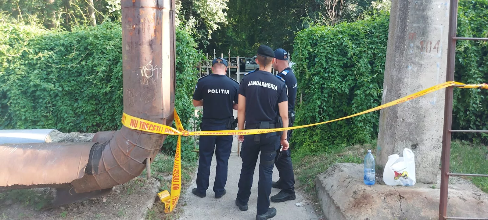 Care este starea de sănătate a tânărului înjunghiat în Grădina Botanică ...